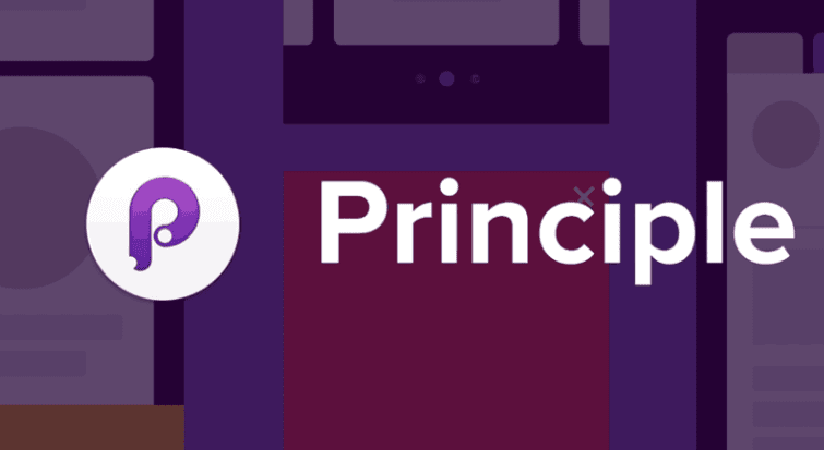 Crash Course in Prototyping with Principle - Prototypr | Prototyping ...